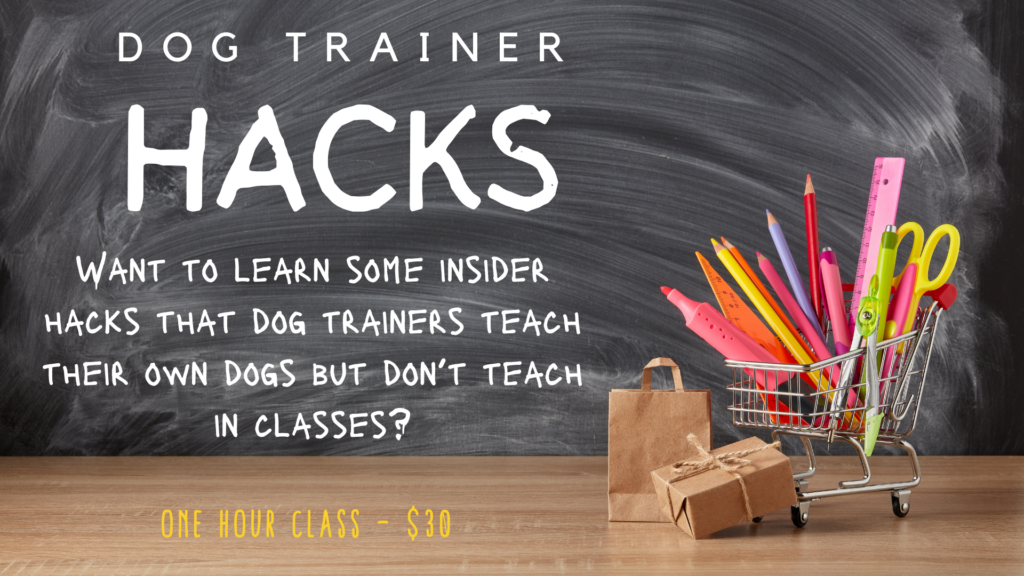 Trainer Hacks - Thursday, January 18th @ 7:30pm - emBARK