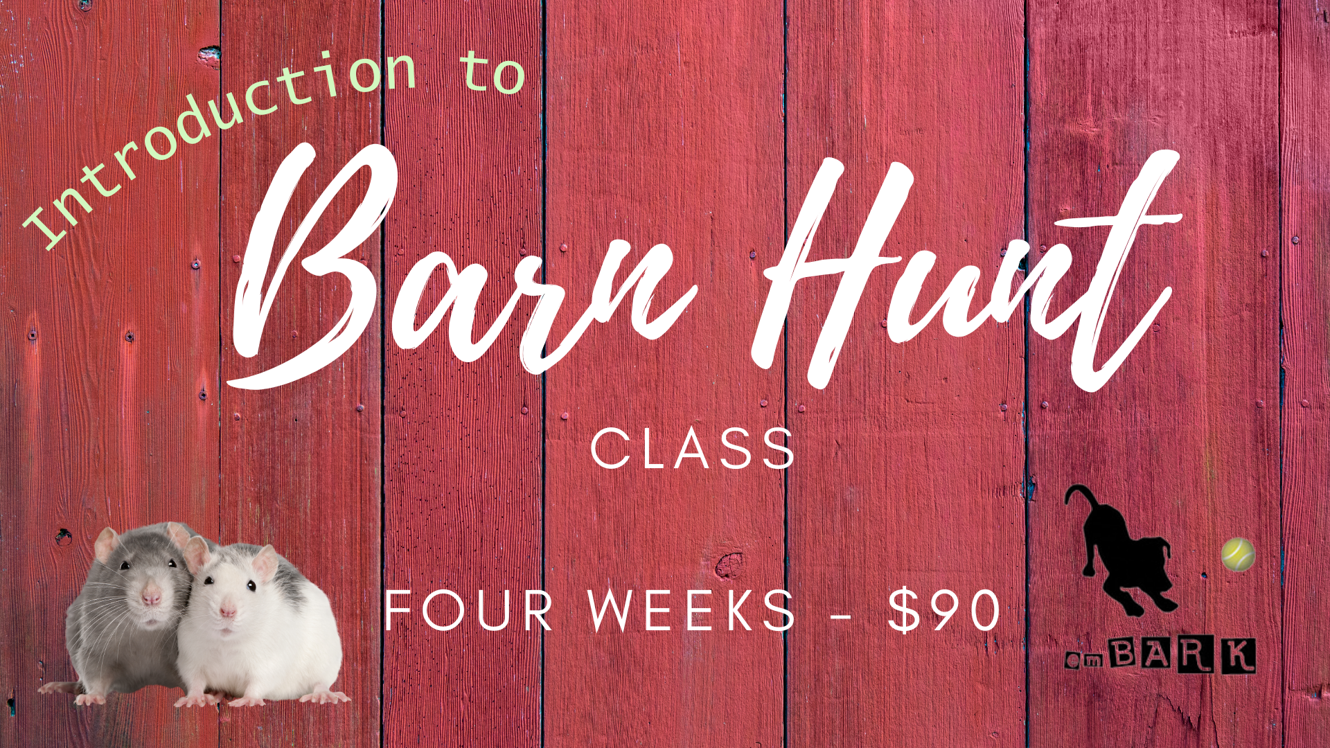 Introduction to Barn Hunt - emBARK