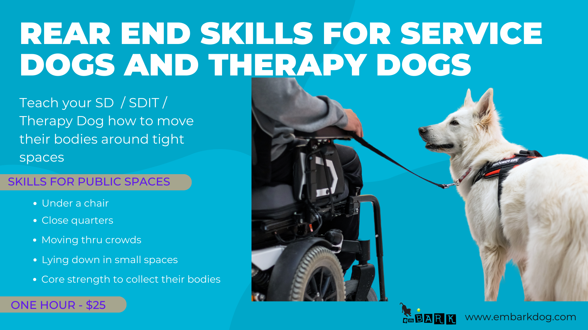 Rear End Skills for Service Dogs and Therapy Dogs - emBARK