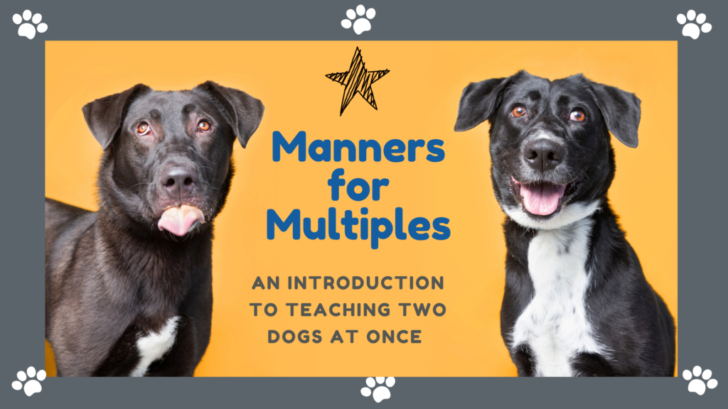 Manners for Multiples - emBARK