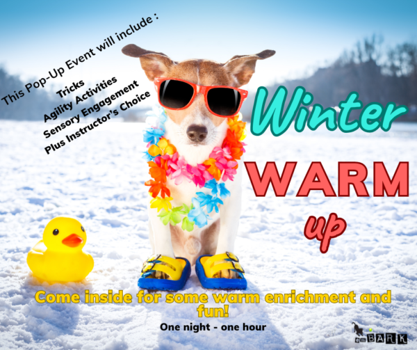 Winter Warm Up - emBARK